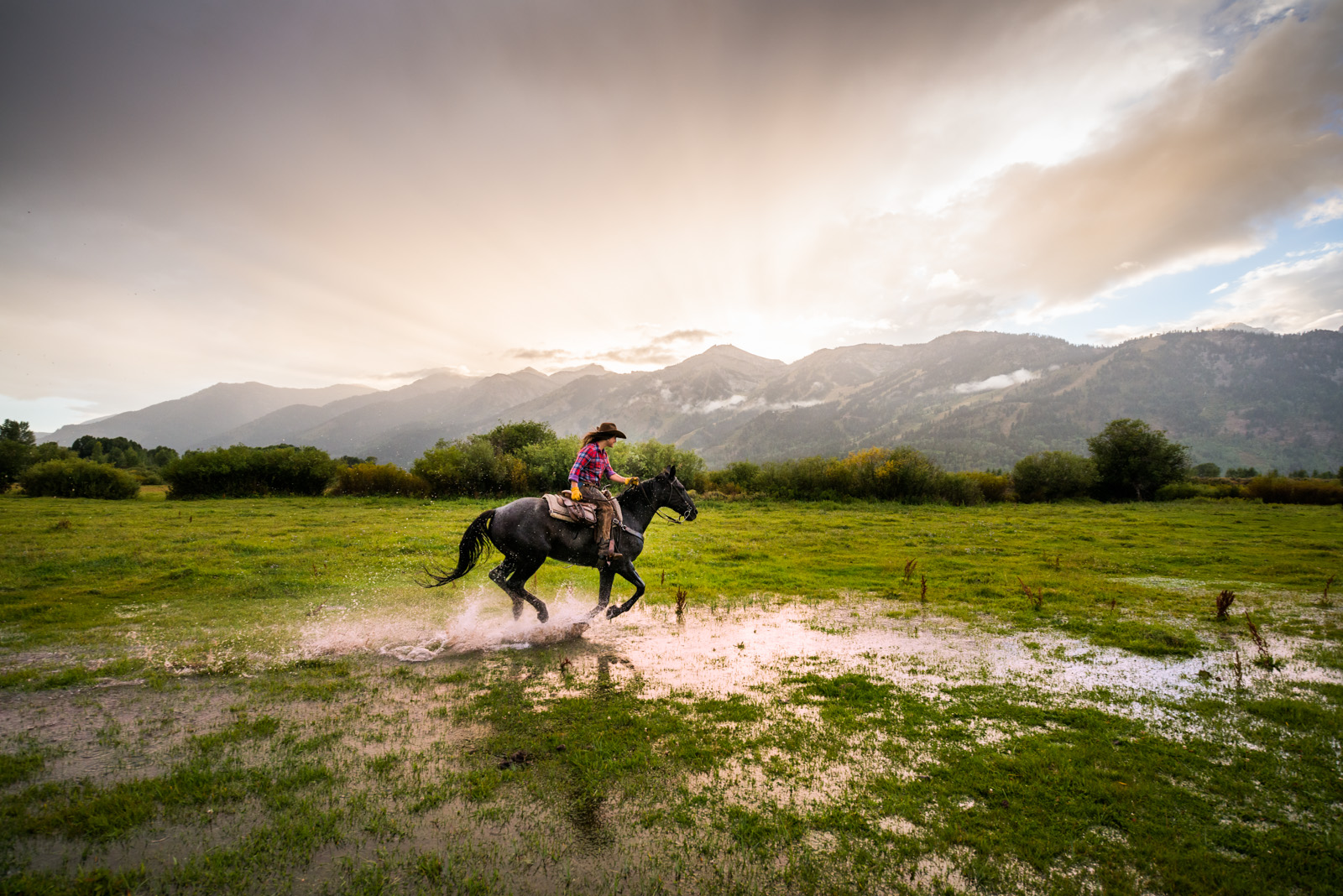 Taylor Glenn: Evening run at R Lazy S Ranch - TheImageStory ...